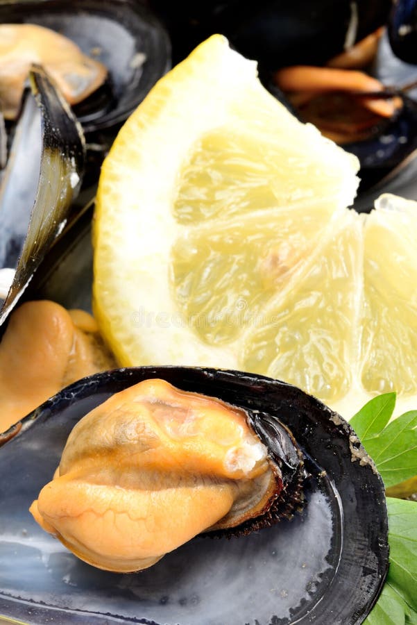 Ref mussels with lemon stock image. Image of appetizer - 31673081