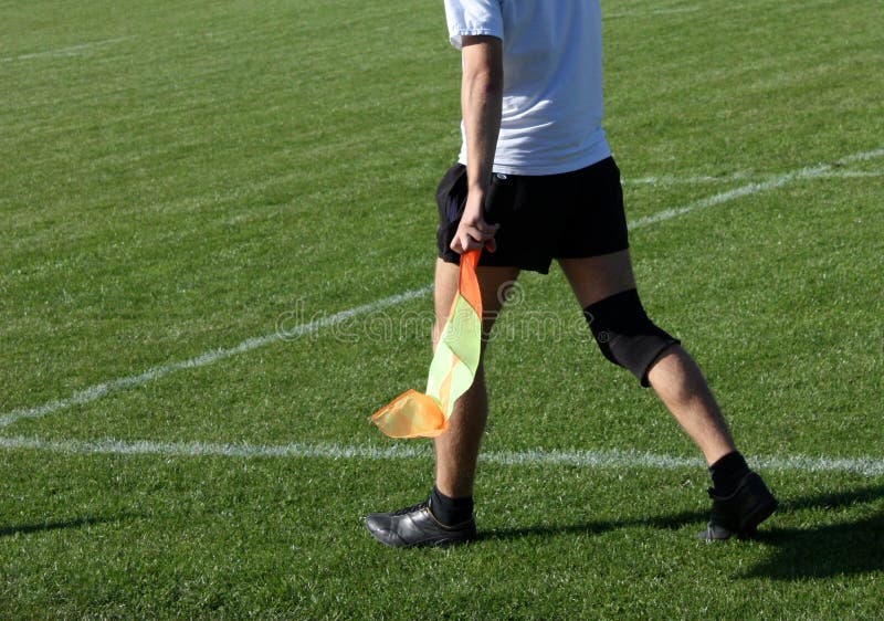 Referee stock image. Image of walking, pitch, grass, linesman - 11350059
