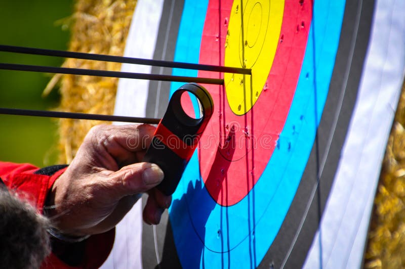 Archery Contest Target Coat of Arms Arrows Archer Stock Image - Image ...