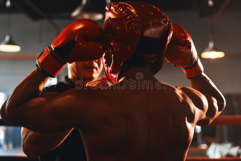 Referee Explain Rules and Prepare before Boxing Match. Impetus Stock ...