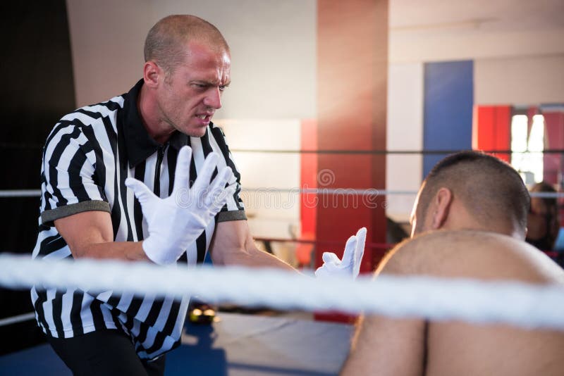 Referee Gesturing by Unconscious Male Boxer Lying in Ring Stock Image ...