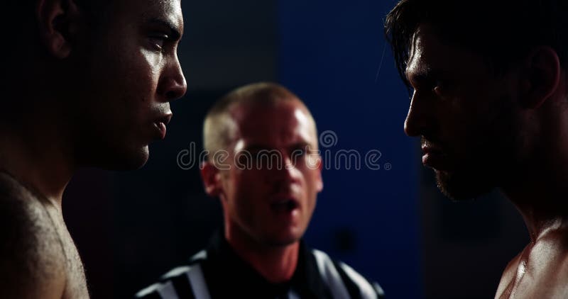 Referee Interacting with Boxers before Starting Match Stock Footage ...