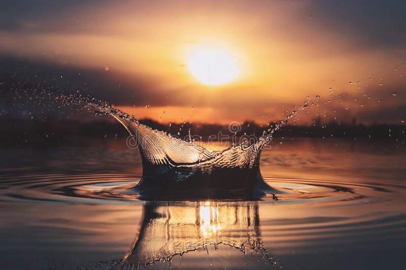 Reference Image stock illustration. Illustration of landscape - 337234440