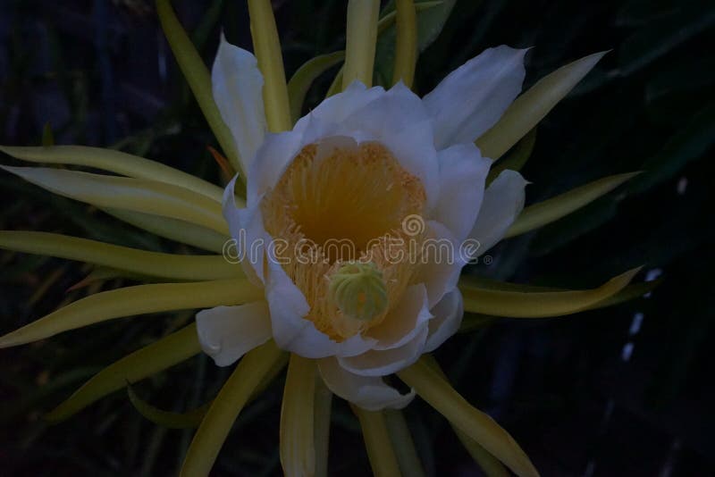 This is a Reference Picture of an Abstract Picture Stock Photo - Image ...