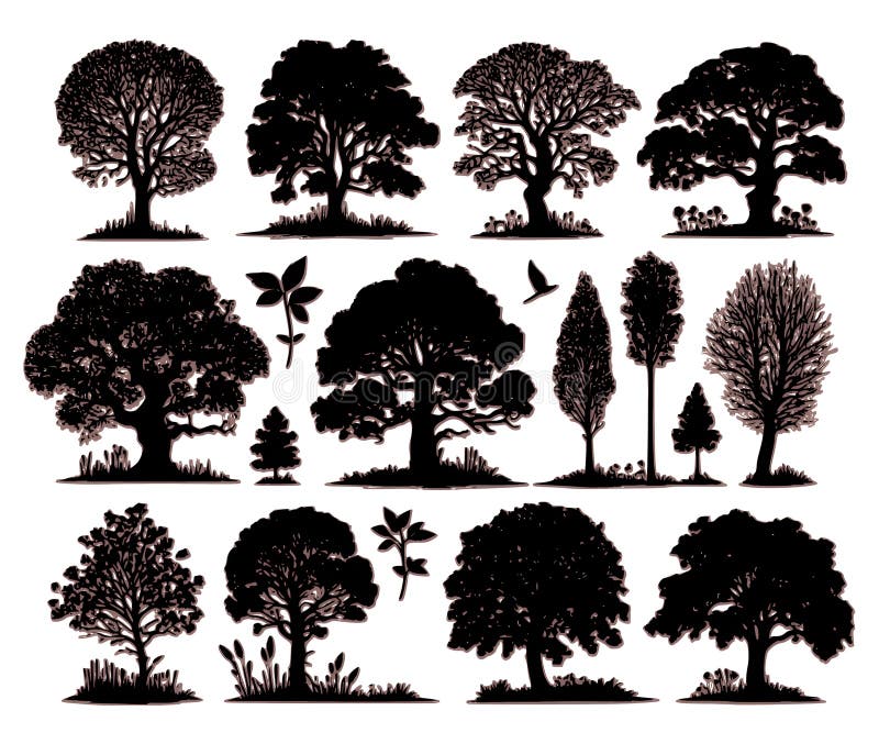 Deciduous Tree Silhouettes – Clean Vector Set on Transparent Background ...