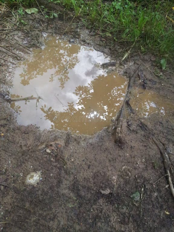 Reflect stock photo. Image of ground, nature, dream - 100217318