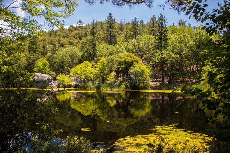 138 Idyllwild Stock Photos - Free & Royalty-Free Stock Photos from ...