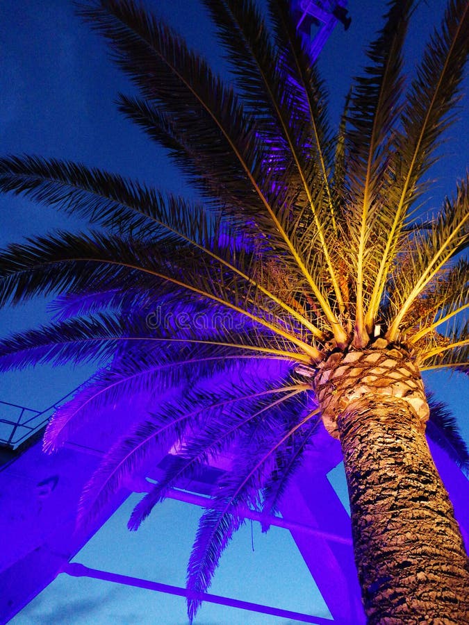 Artificial Light Charges Reality Based on Day Light. Stock Photo ...