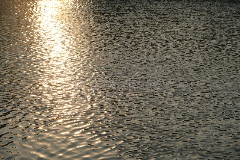 Reflected Light of the Sun Hits the River Water Surface with Waves ...