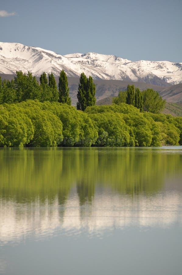Reflected trees stock image. Image of nature, shore, natural - 38462153