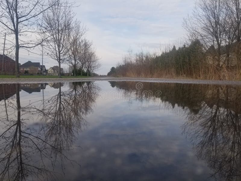 Reflected in Water stock photo. Image of reflected, tree - 216462276