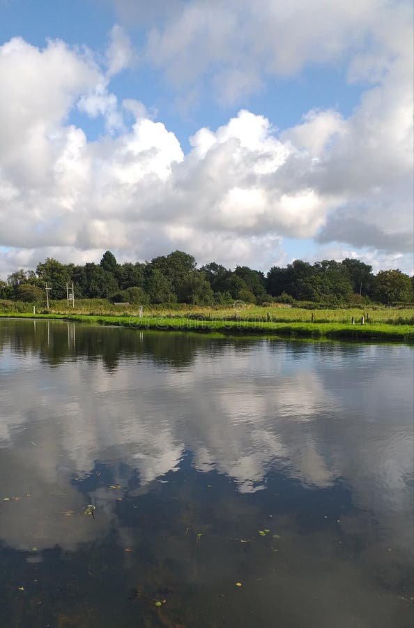 Reflecting Clouds in the Water Stock Image - Image of plants, trees ...