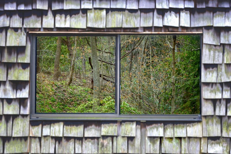 Reflecting Forest Scene in Windows on the Side of a Building Stock ...