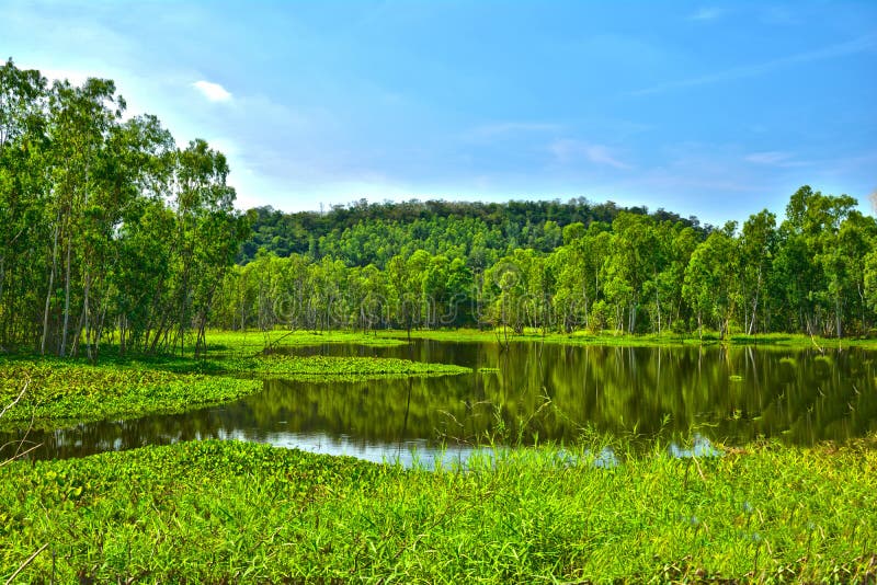 Reflecting Pond. stock image. Image of thailand, asia - 90705203
