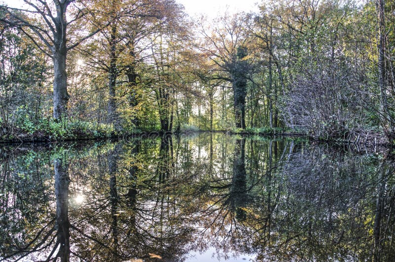 Reflecting pond in october stock photo. Image of waters - 108954092