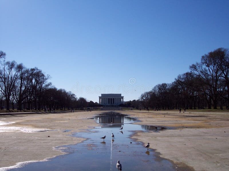 Reflecting Pool Picture. Image: 169561