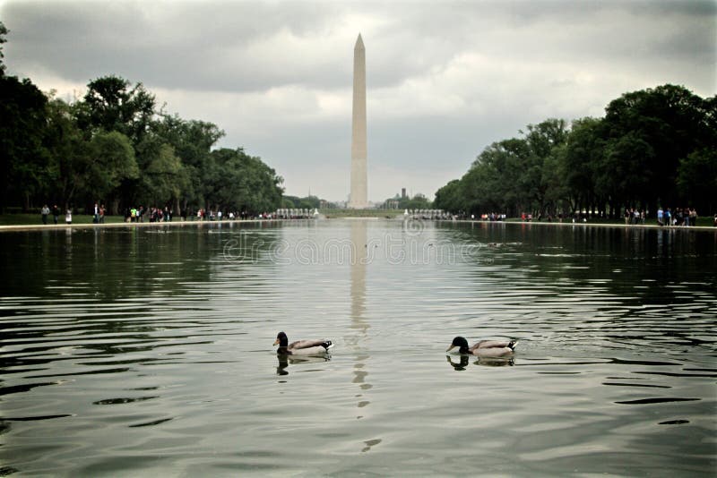 Reflecting Pool stock image. Image of capital, tourism - 94356439