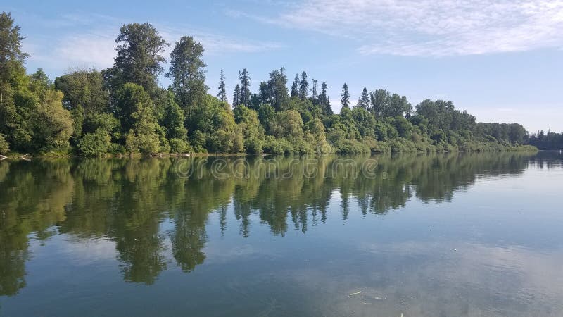 Reflecting River mirror stock image. Image of pond, reflection - 230674293