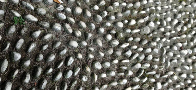 Reflection Stones Arranged Neatly into a Path in a Park, for Foot ...