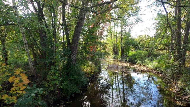 Reflecting Stream with Green Trees in the Park with Bright Sky Stock ...