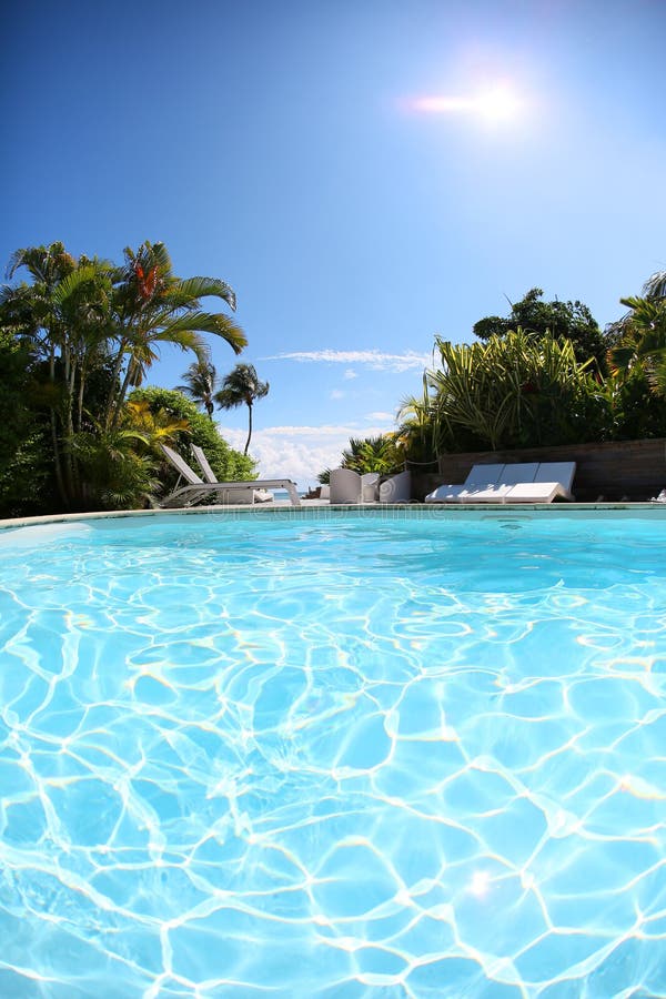 Reflecting Water in the Swimming Pool on a Hot Sunny Day Stock Image ...