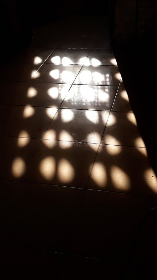 Reflection of the Afternoon Sun on the Floor. Photo Using High Angle ...