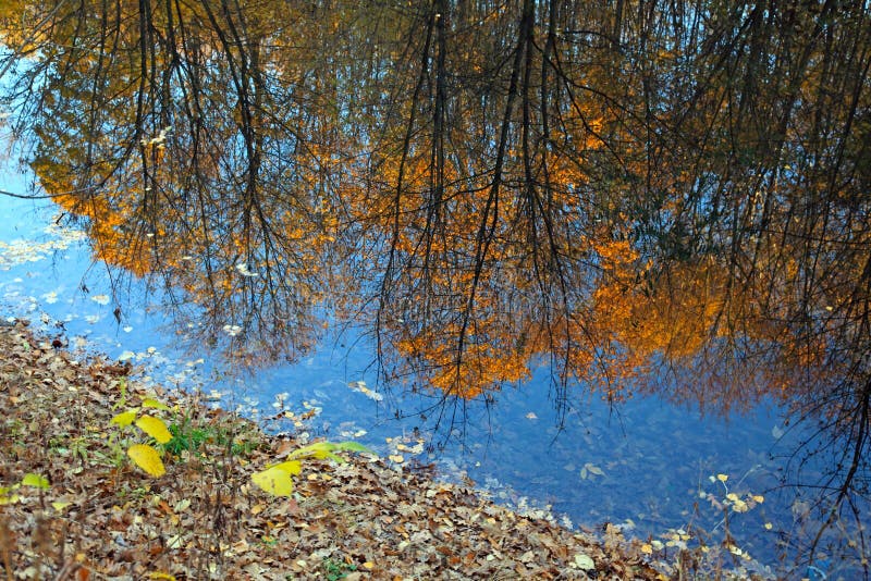 Reflection of autumn stock photo. Image of fall, brown - 25738352