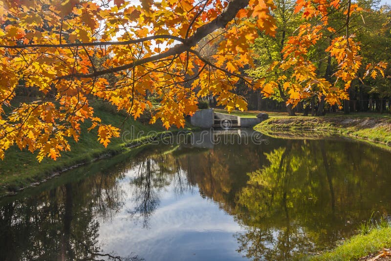 Reflection of Autumn Trees in Water Stock Image - Image of four, pond ...