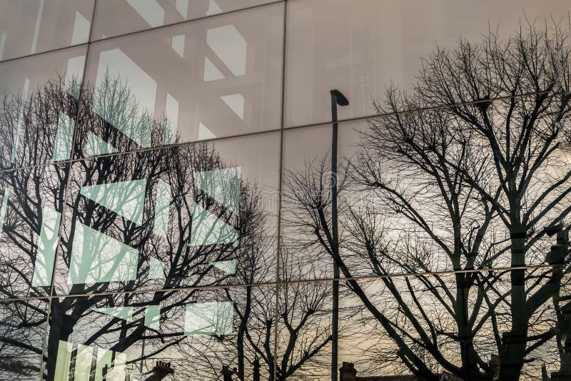 Reflection of Bare Tree Branches in the Windows of a Modern Building ...