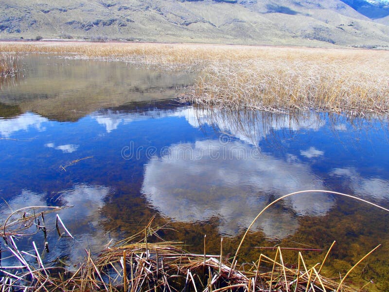 Sky and Cloud Reflection in Ruby Marsh Pond Stock Image - Image of ...