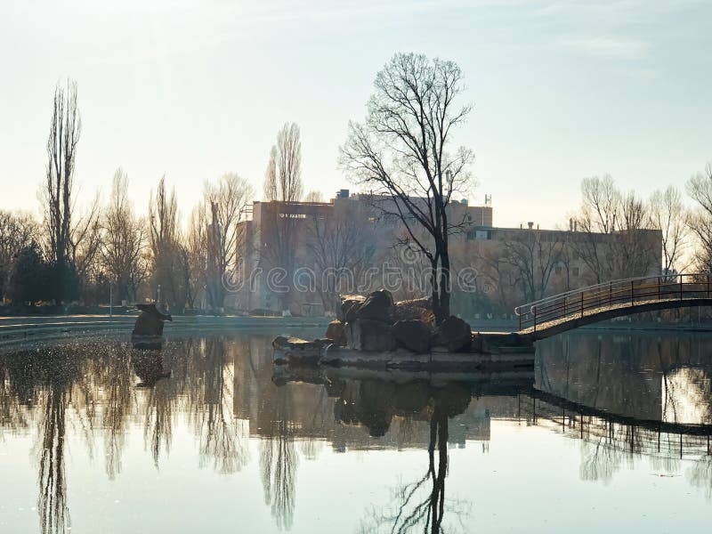 Reflection of a Bridge and the Tree in Lake Stock Image - Image of cool ...
