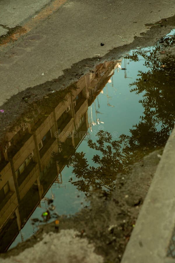 Reflection of a Building on a Water Puddle - Vertical Shot Stock Image ...