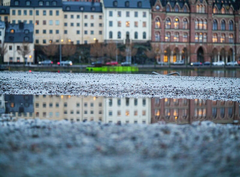 Reflection of Buildings in a Puddle Next To River Stock Photo - Image ...