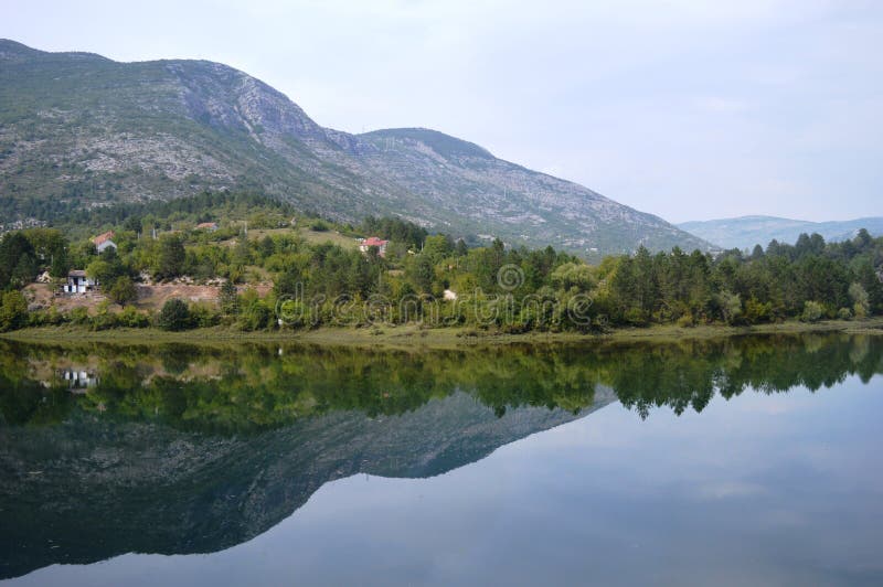 Reflection of a Calm and Clean River Stock Photo - Image of river, tree ...