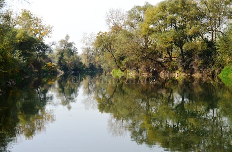 Reflection in the river stock image. Image of water - 129670117