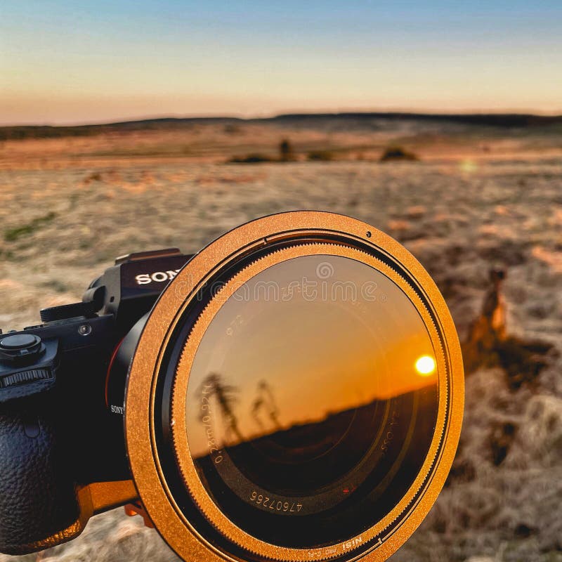 Reflection of a Camera Lens in the Belgium Ardens Editorial Photo ...