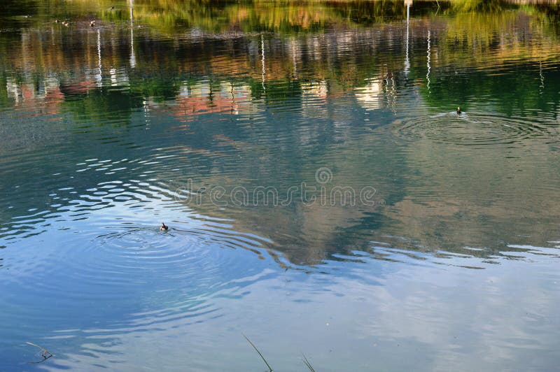 Reflection in a Clear River Stock Photo - Image of color, beautiful ...