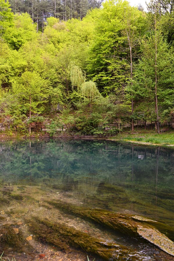 Reflection in a Clear River Stock Image - Image of river, nature: 224686763
