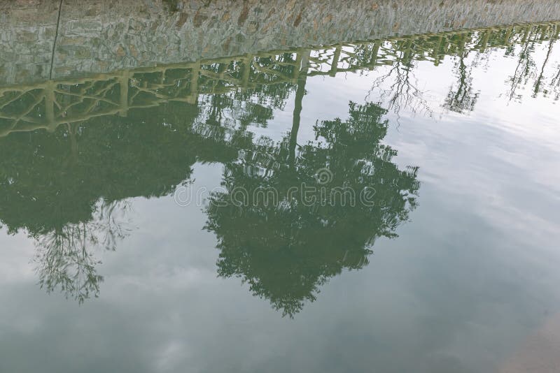 Reflection of Clear Water and Underwater Creatures Stock Photo - Image ...