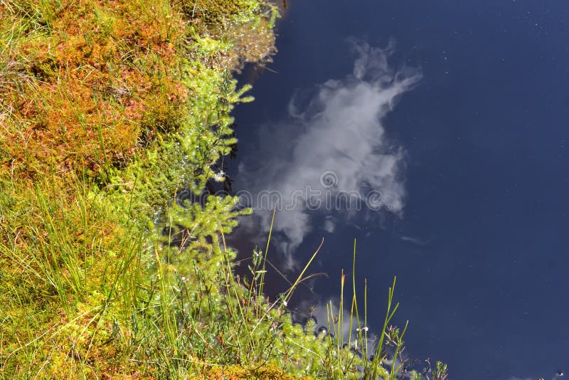 Reflection of Cloud in Dark Water Stock Image - Image of lake, deep ...