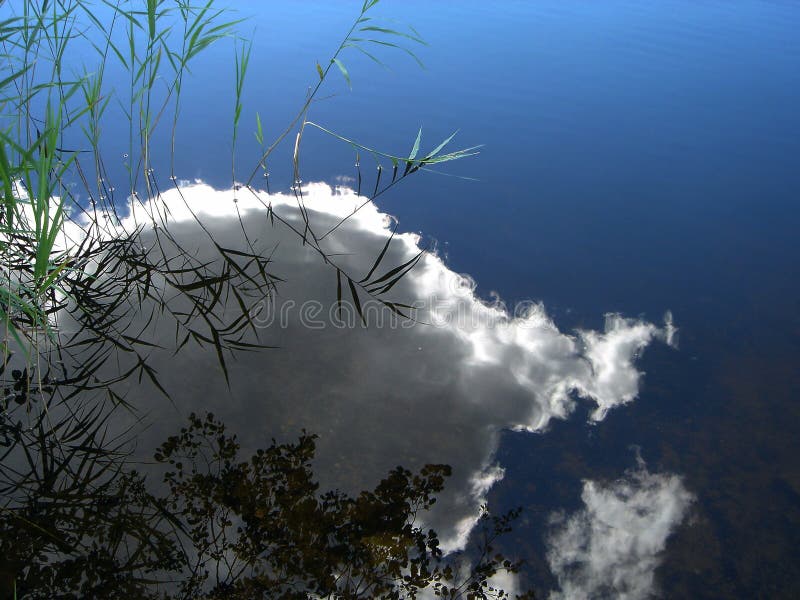 Reflection of a Cloud in Water Stock Photo - Image of europe, floating ...