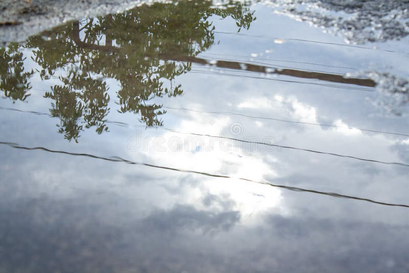 Reflection of Clouds, Sun and Trees in a Puddle Stock Photo - Image of ...