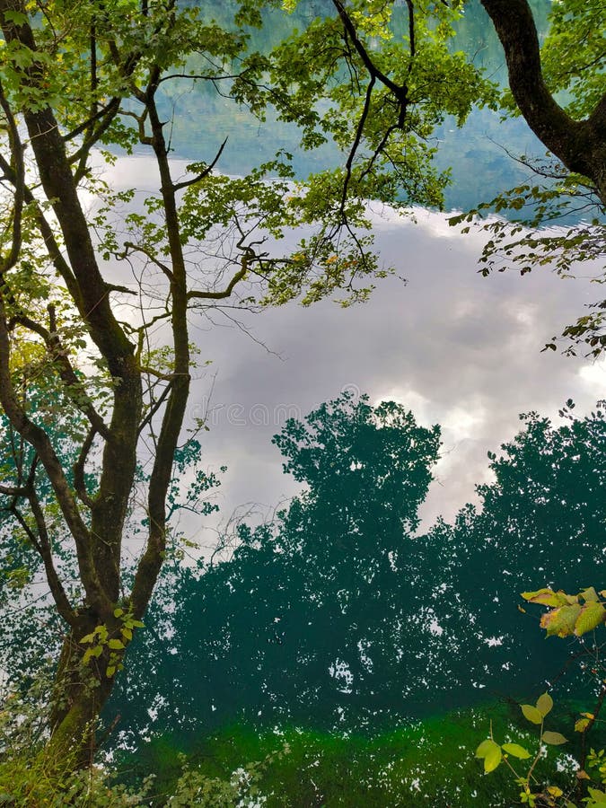 Reflection of Clouds and Trees in Mountain Lake on Cloudy Day Stock ...