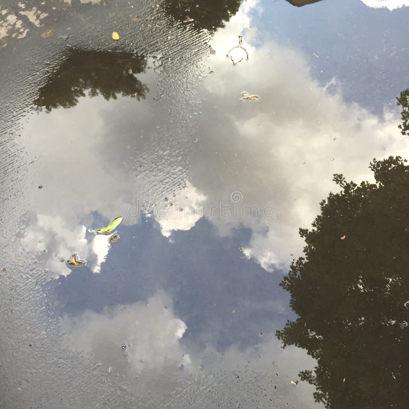 Reflection of Clouds and Trees in Puddle of Water. Stock Image - Image ...