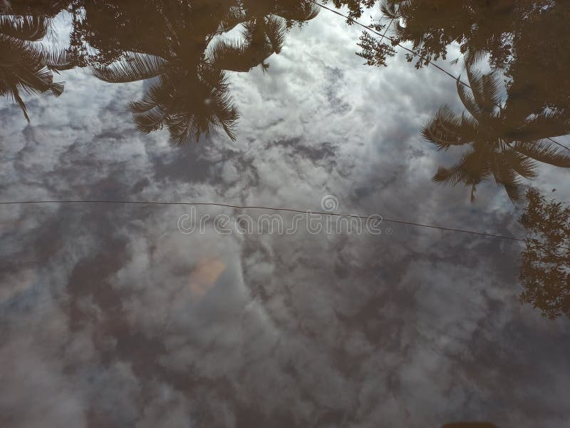 Reflection of Cloudy Clouds and Trees in a Puddle after Rain Stock ...