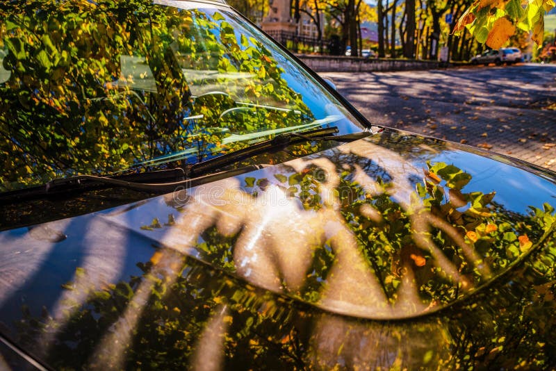 Reflection of Colorful Autumn Leaves on Car Windshield Stock Photo ...