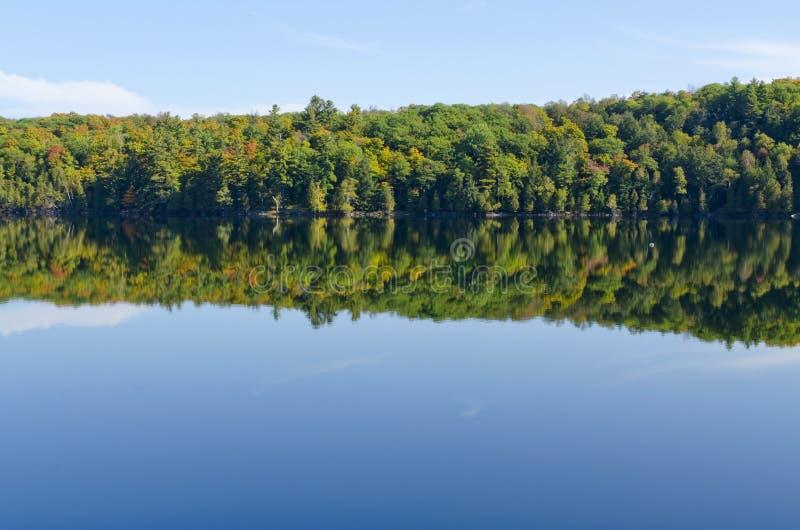Reflection of Colorful Forest Stock Image - Image of river, orange ...