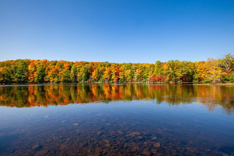 Reflection of a Colorful Forest in the Wisconsin River Stock Photo ...