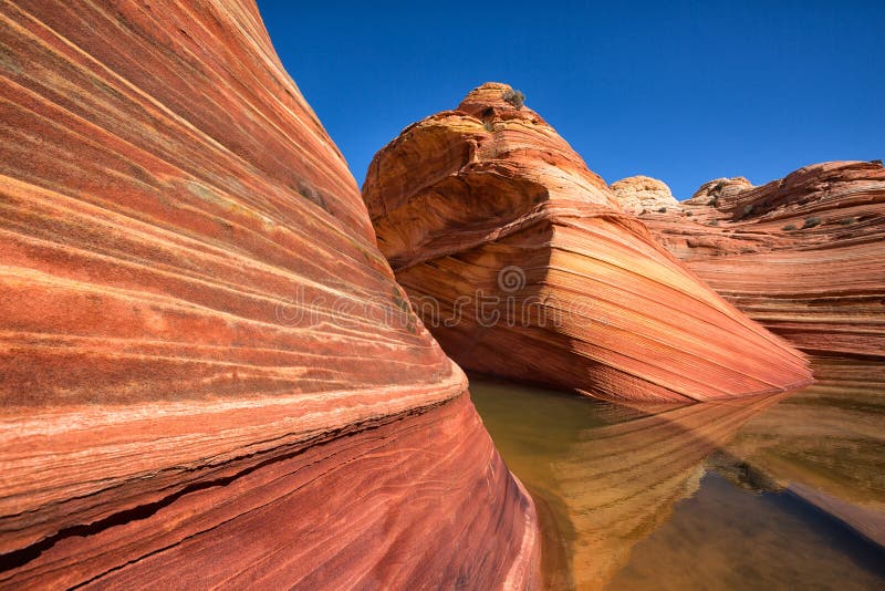 Reflection in the Coyote Butte Stock Image - Image of water, landscape ...