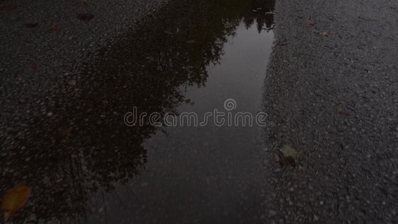 Reflection in Dark Puddle on Road Stock Footage - Video of rain, hole ...